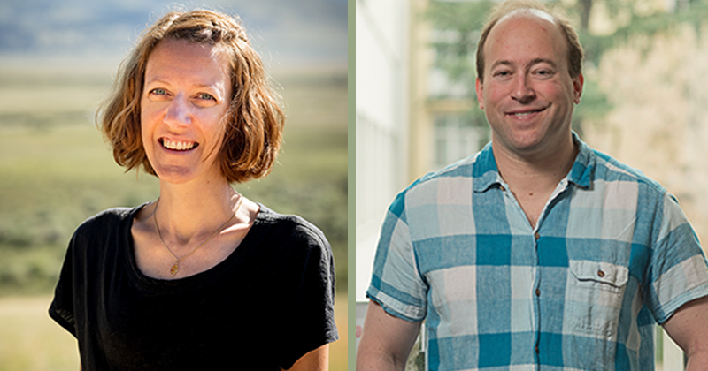 Studie: Wie AfD-Stimmen auf Integrationserfolge wirken / Free ...